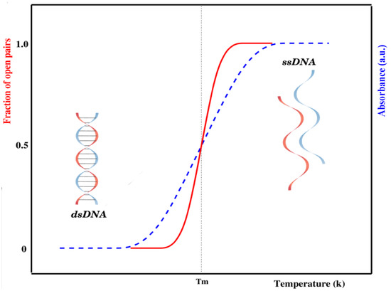 Structure and Dynamics of dsDNA in Cell-like Environments