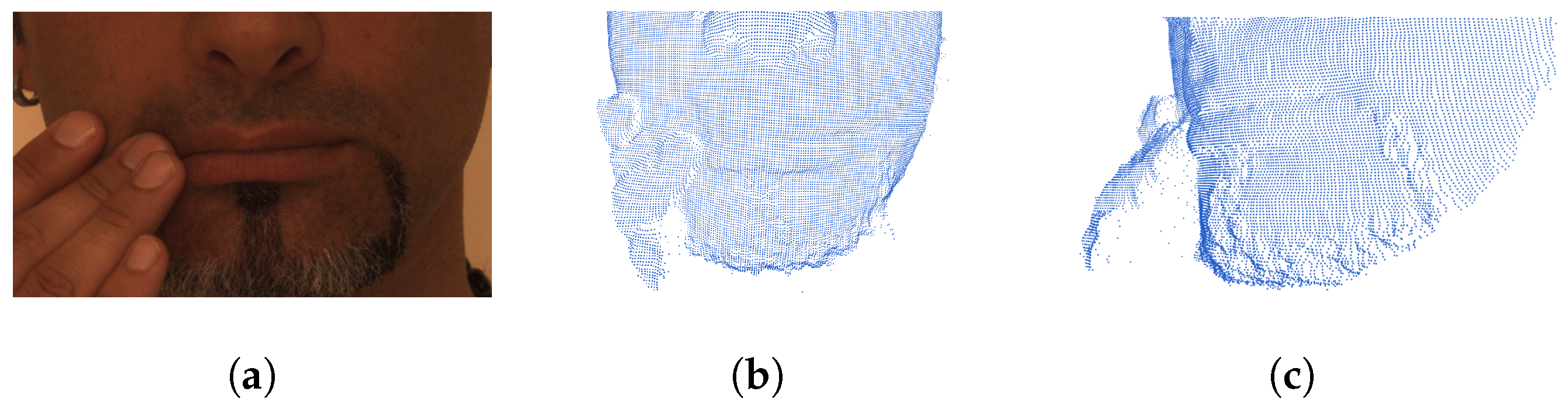 Entropy | Free Full-Text | Three-Dimensional Face Recognition Using Solid Harmonic Wavelet ...