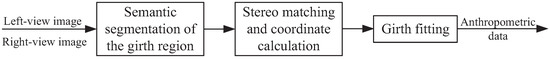 Entropy | Free Full-Text | An Improved Human-Body-Segmentation Algorithm with Attention-Based ...
