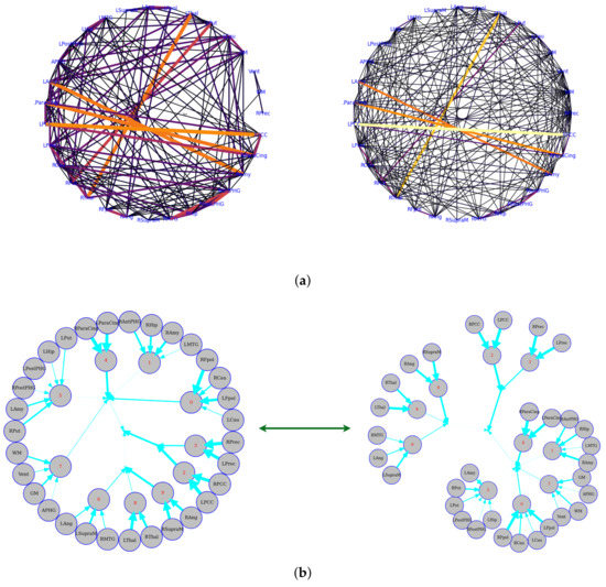 Functional Connectome of the Human Brain with Total Correlation