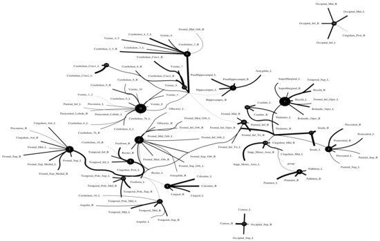 Functional Connectome of the Human Brain with Total Correlation