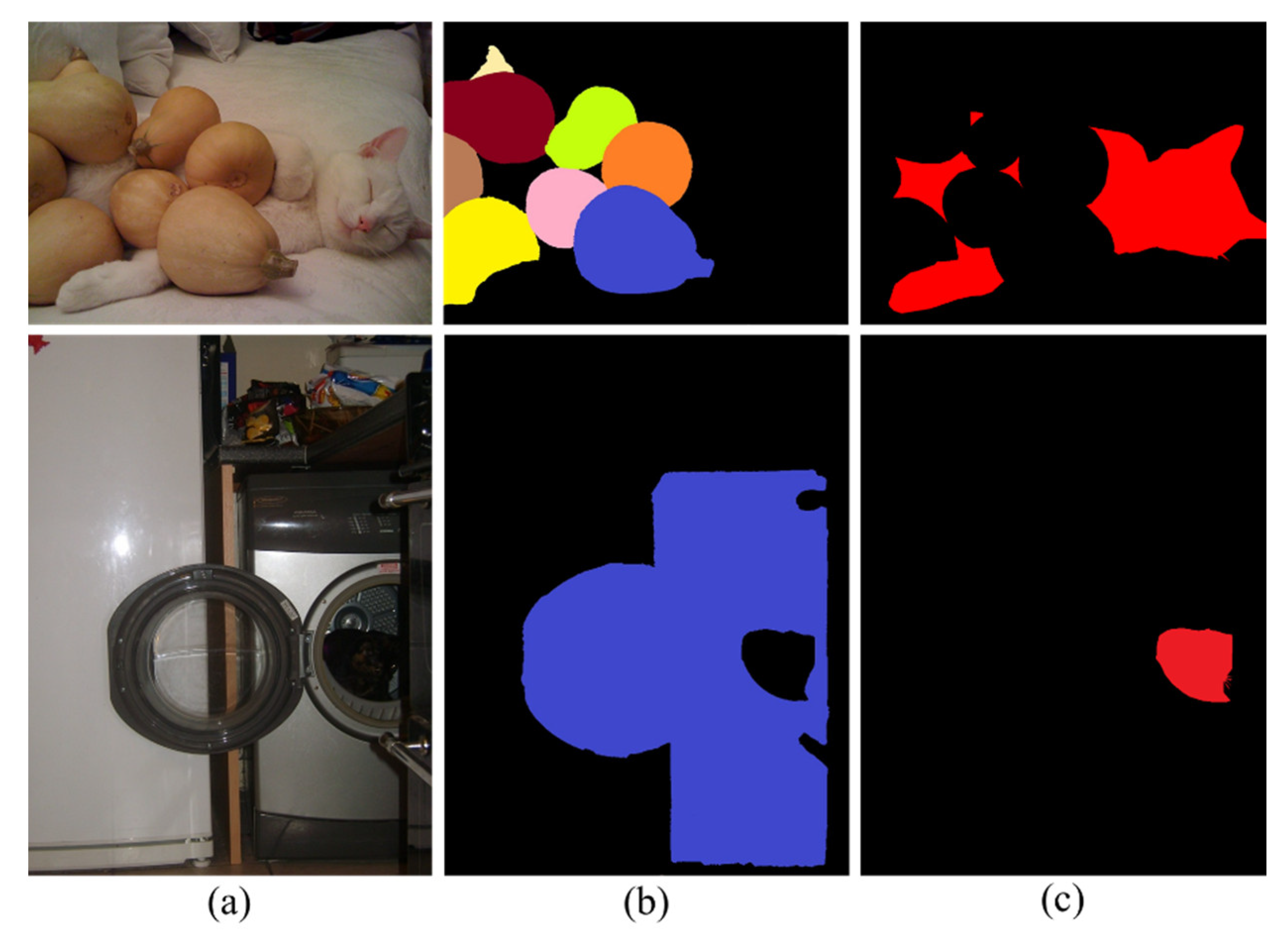 MAGNet: A Camouflaged Object Detection Network Simulating the Observation Effect of a Magnifier
