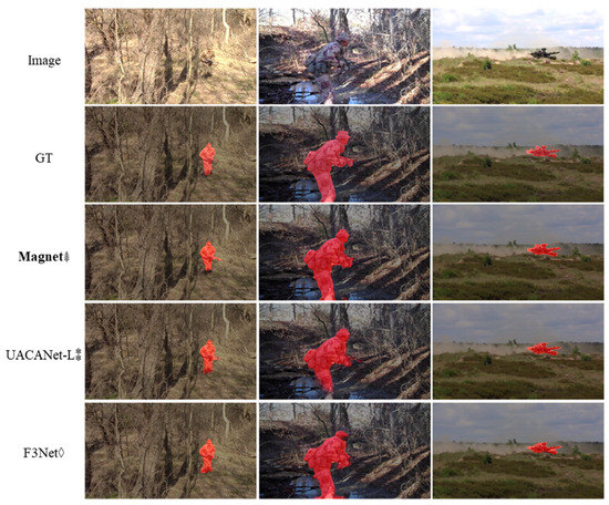 Entropy | Free Full-Text | MAGNet: A Camouflaged Object Detection ...
