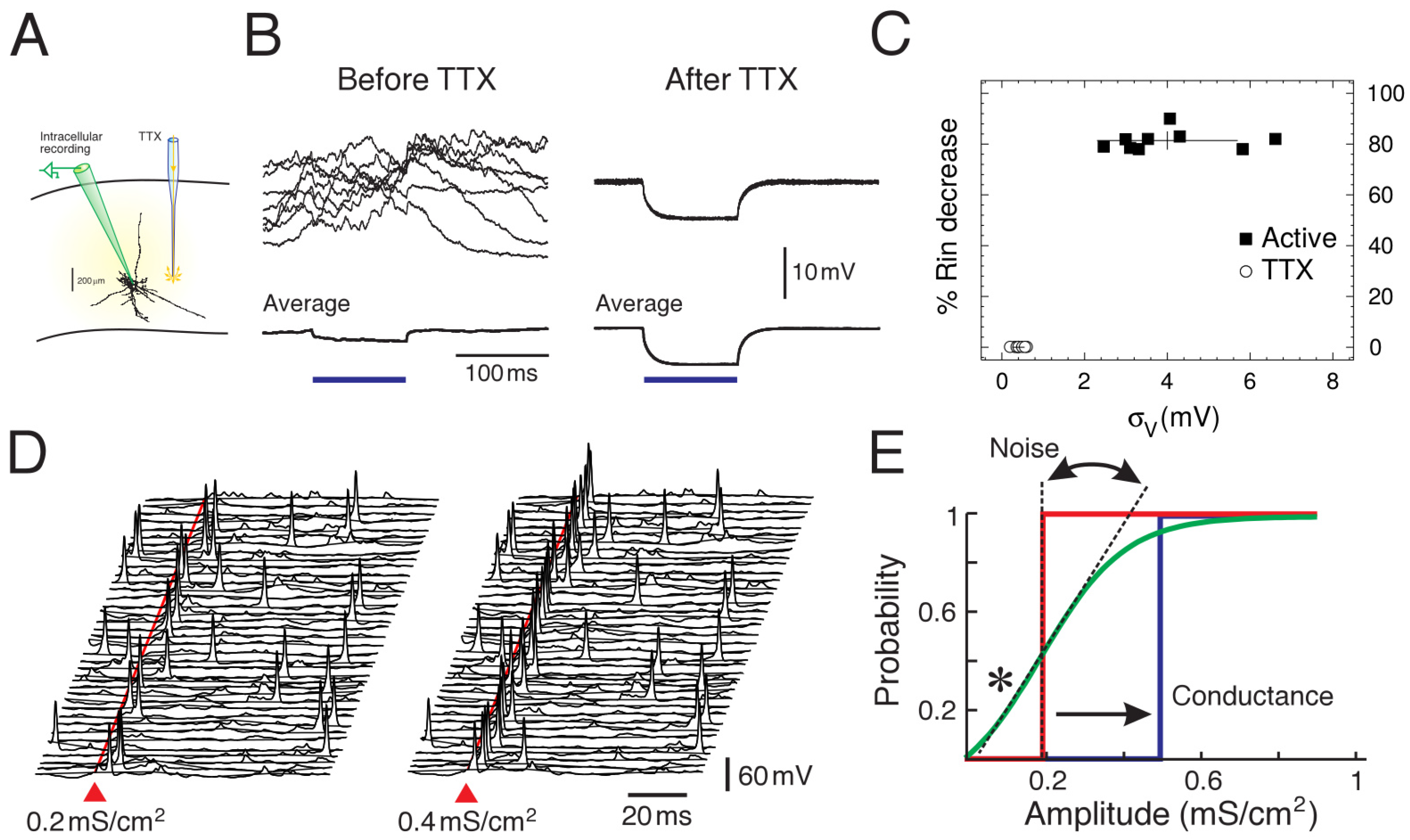 Noise Enhancement of Neural Information Processing