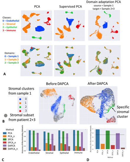 Entropy | Free Full-Text | Domain Adaptation Principal Component Analysis: Base Linear Method ...