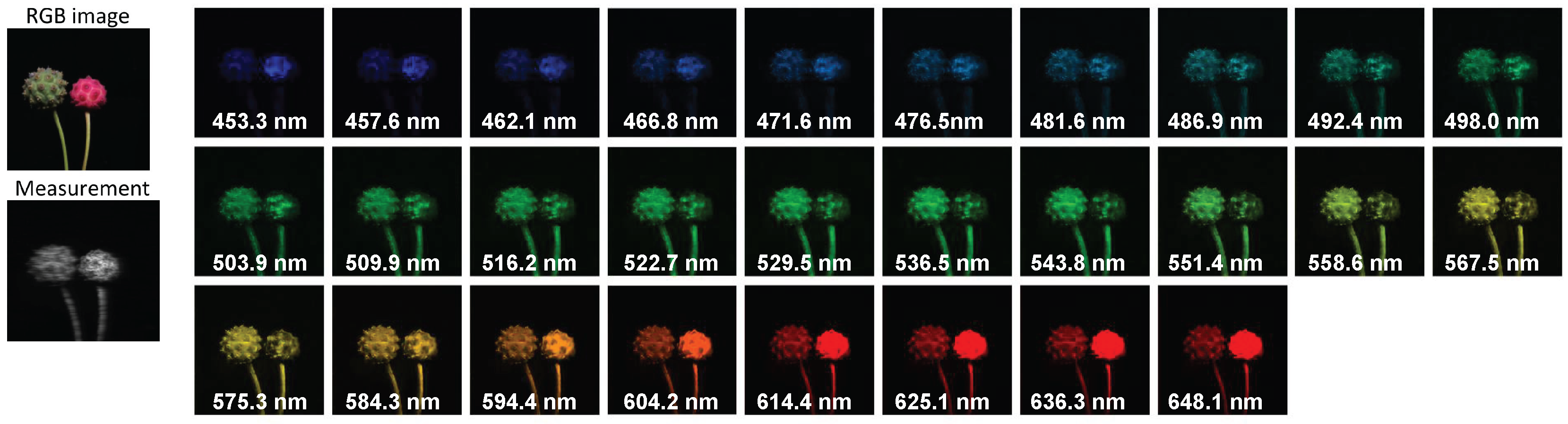 Entropy | Free Full-Text | Hybrid Multi-Dimensional Attention U-Net for ...