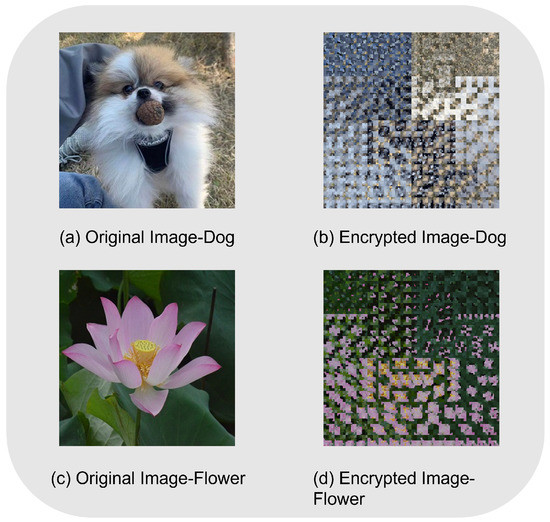 Quantum Image Encryption Based on Quantum DNA Codec and Pixel-Level ...
