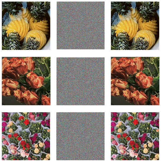 Quantum Image Encryption Based on Quantum DNA Codec and Pixel-Level Scrambling