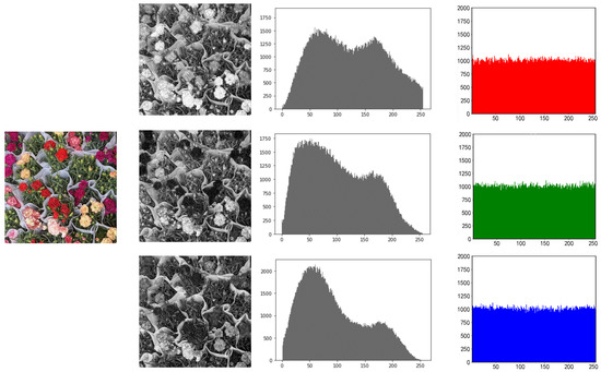 Quantum Image Encryption Based on Quantum DNA Codec and Pixel-Level ...
