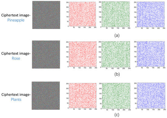 Quantum Image Encryption Based on Quantum DNA Codec and Pixel-Level ...