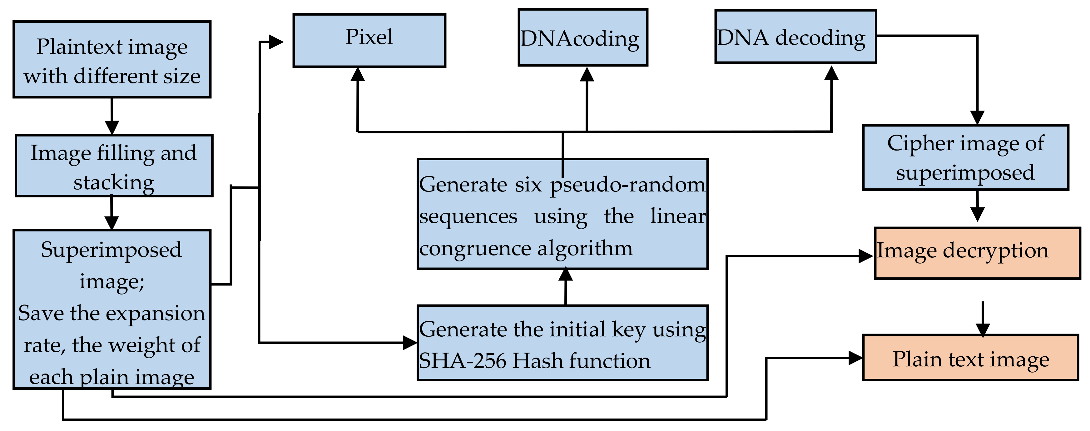 A Multiple-Medical-Image Encryption Method Based on SHA-256 and DNA Encoding