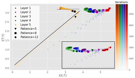 Analysis of Deep Convolutional Neural Networks Using Tensor Kernels and Matrix-Based Entropy