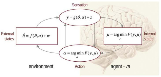 Models of the Translation Process and the Free Energy Principle