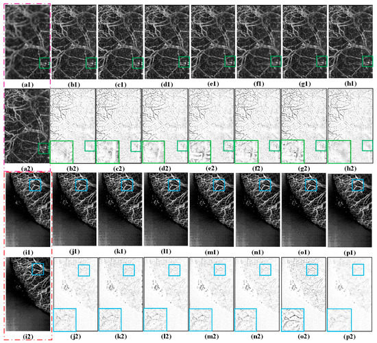 Entropy | Free Full-Text | Multi-Focus Image Fusion for Full-Field ...