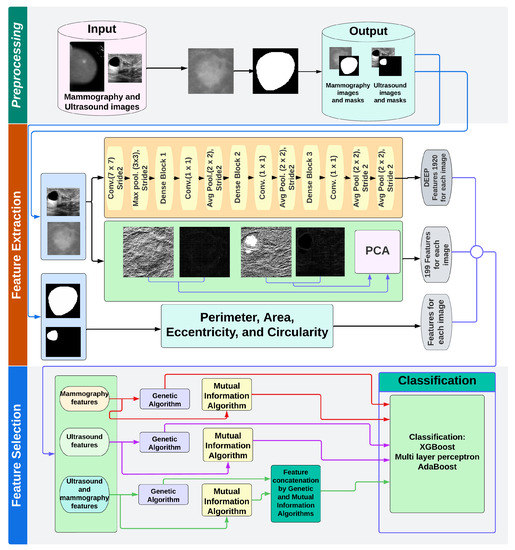 Benign and Malignant Breast Tumor Classification in Ultrasound and ...