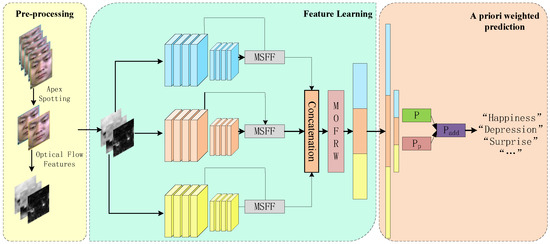 AM3F-FlowNet: Attention-Based Multi-Scale Multi-Branch Flow Network