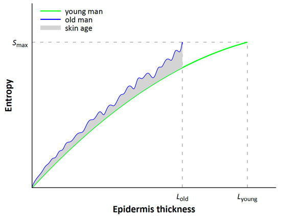 The Degradation and Aging of Biological Systems as a Process of ...