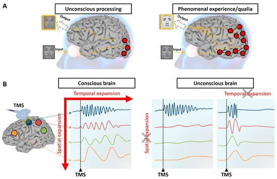 Temporospatial Nestedness in Consciousness: An Updated Perspective on ...
