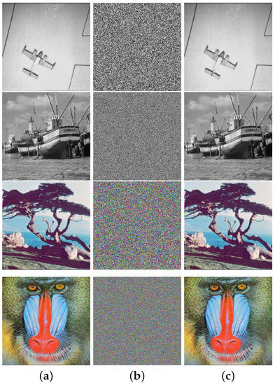 Entropy | Free Full-Text | Exploiting Dynamic Vector-Level Operations and a 2D-Enhanced Logistic ...