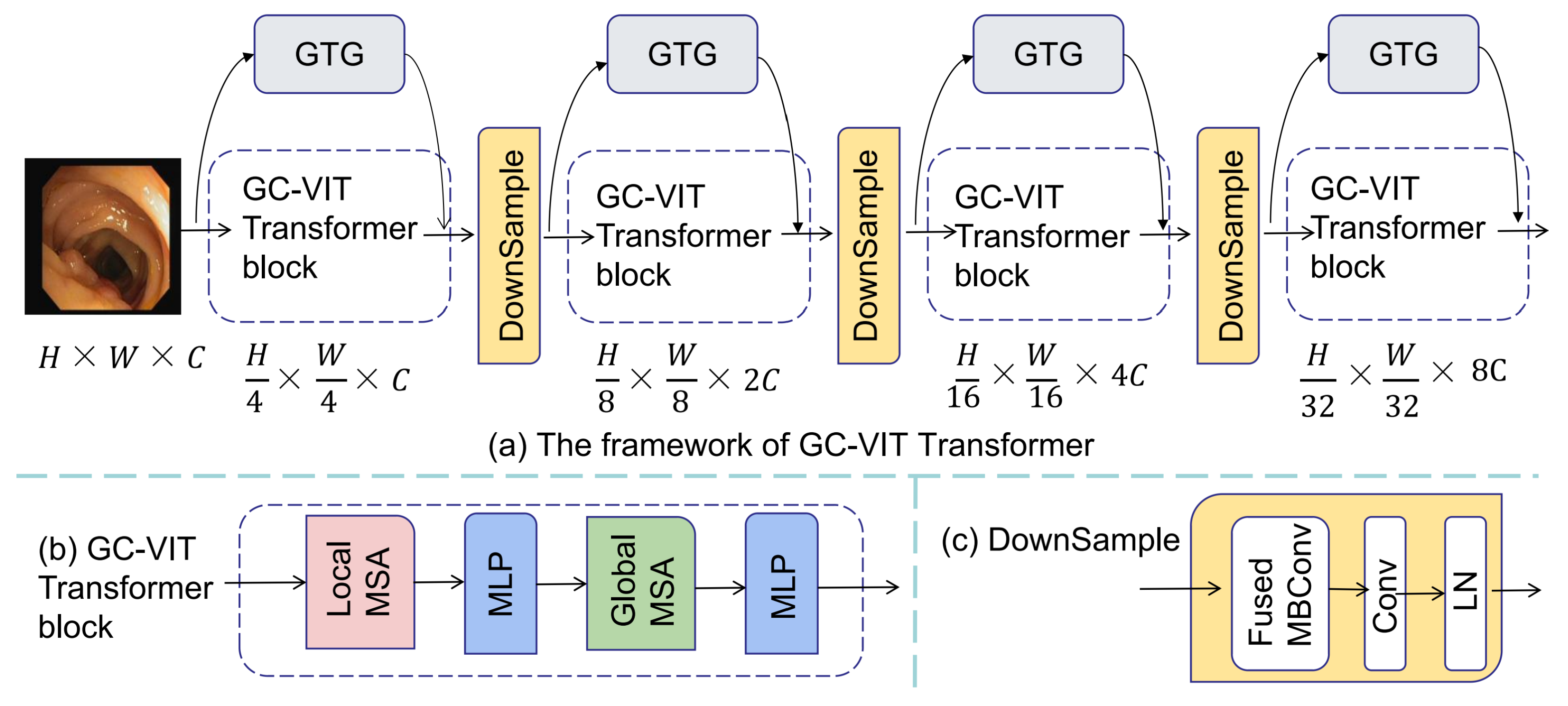 Distance Matters: A Distance-Aware Medical Image Segmentation Algorithm