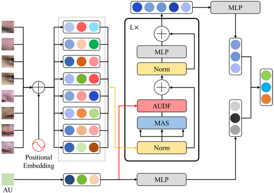 Multimodal Attention Dynamic Fusion Network for Facial Micro-Expression Recognition