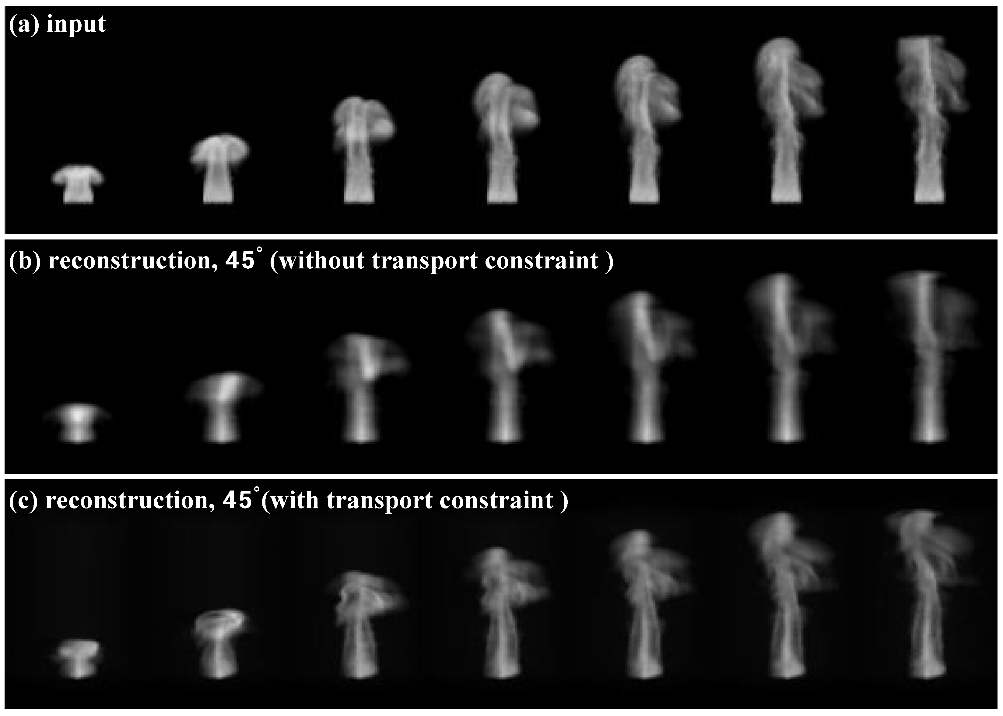 Physics-Based Differentiable Rendering for Efficient and Plausible Fluid Modeling from Monocular ...