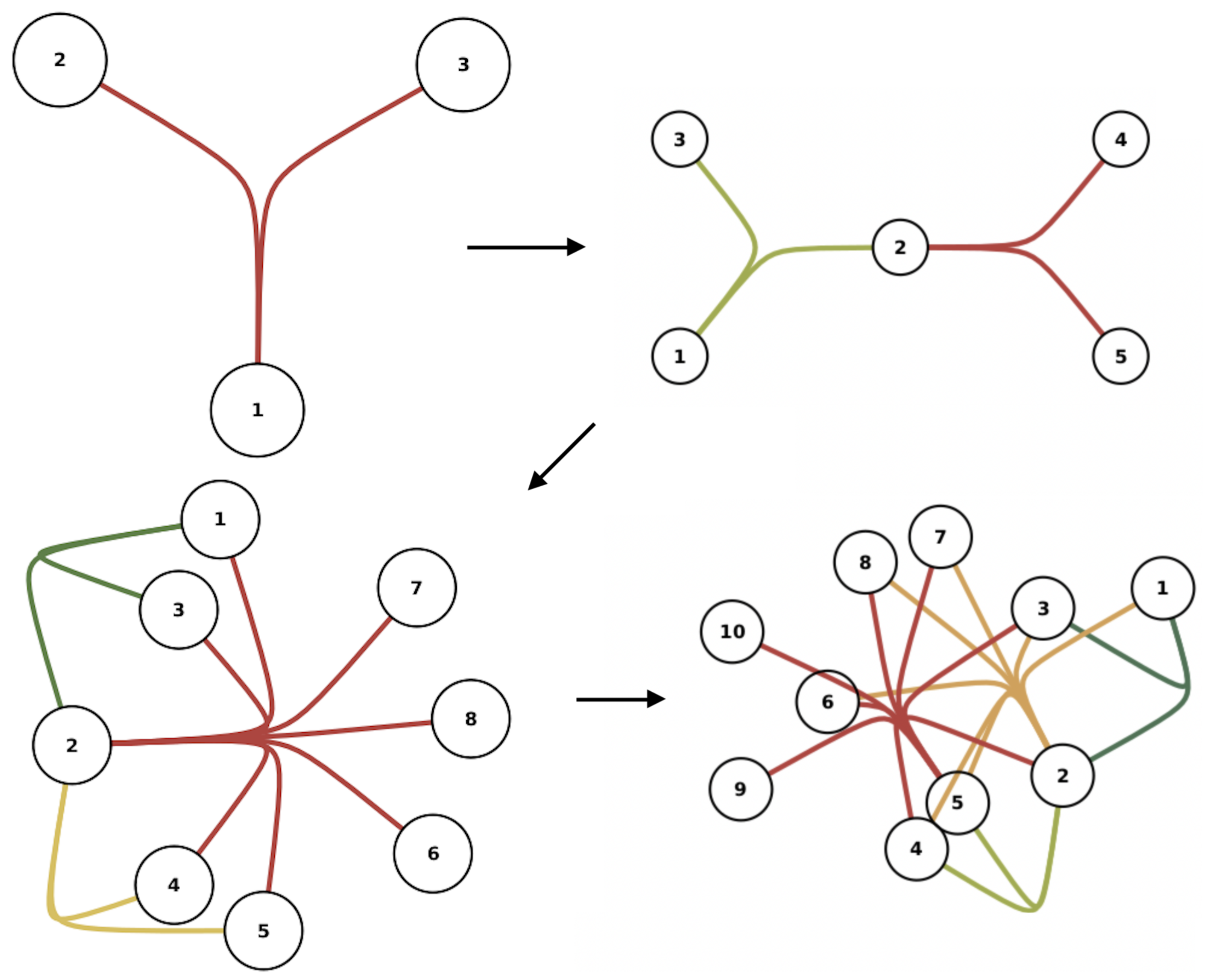 An Introduction to Complex Networks in Climate Finance