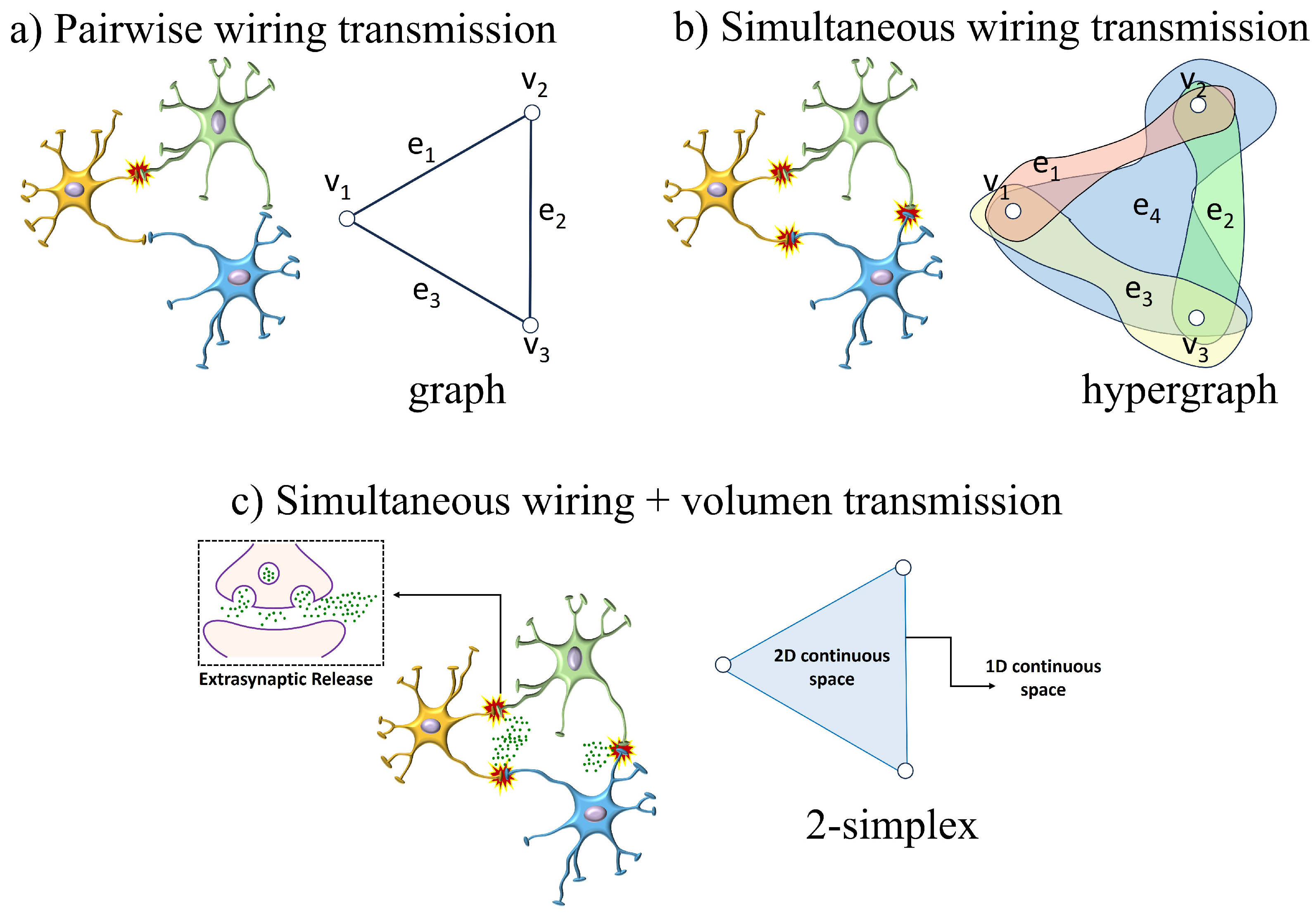 What Is in a Simplicial Complex? A Metaplex-Based Approach to Its ...