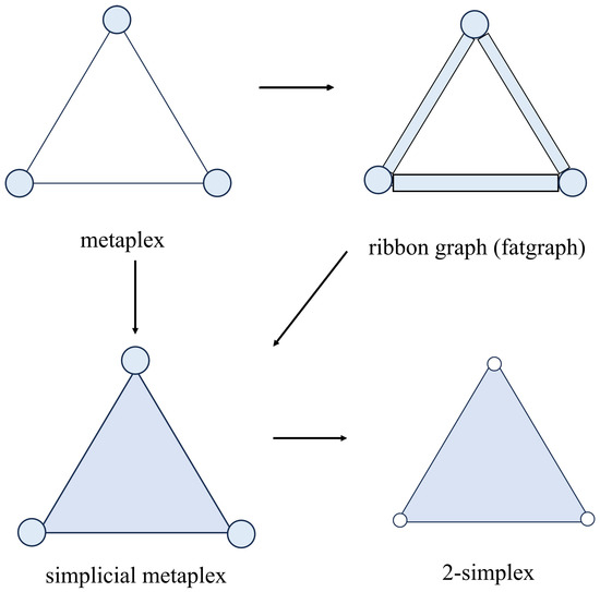 What Is in a Simplicial Complex? A Metaplex-Based Approach to Its ...
