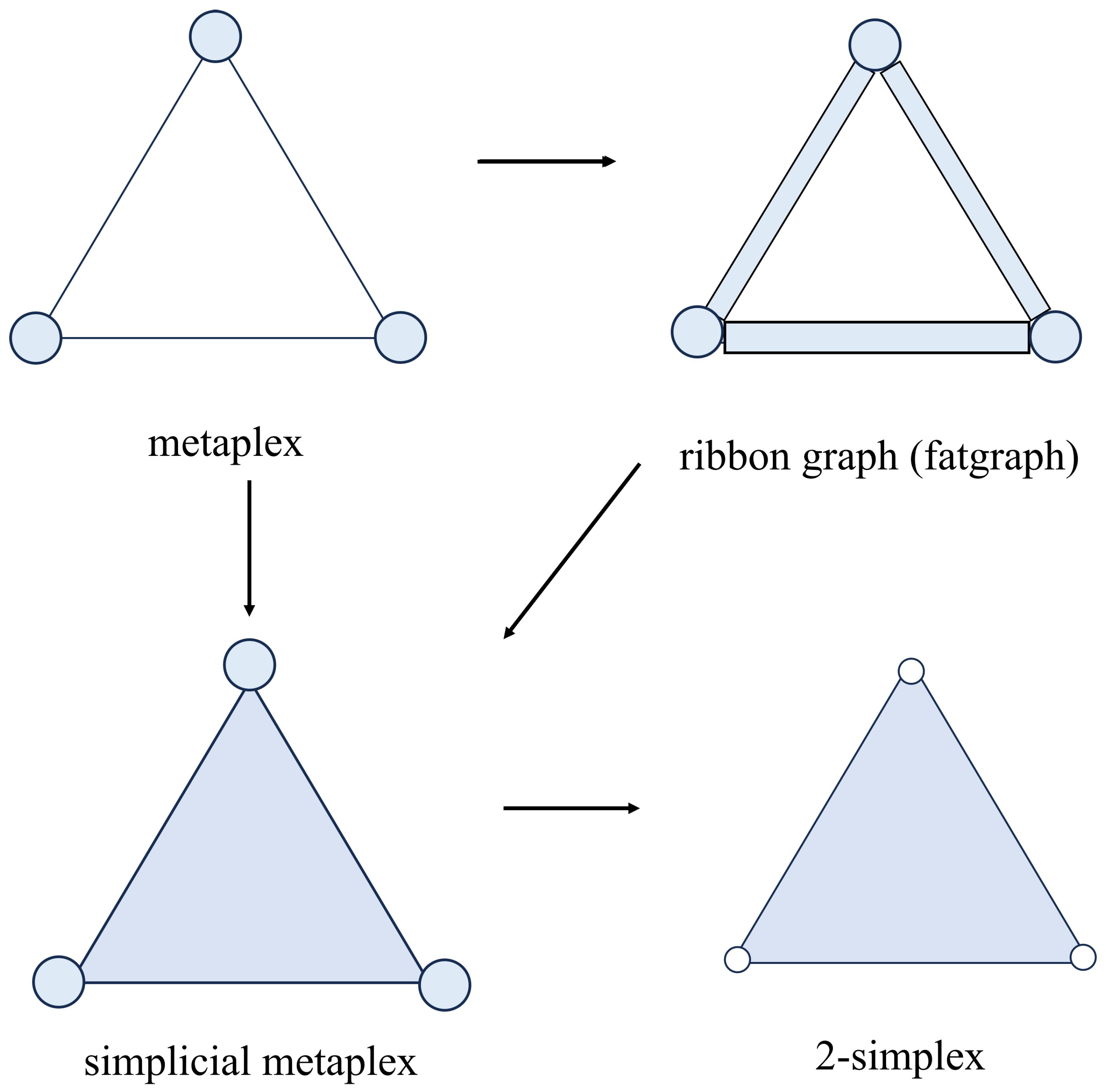Entropy | Free Full-Text | What Is in a Simplicial Complex? A Metaplex-Based Approach to Its ...
