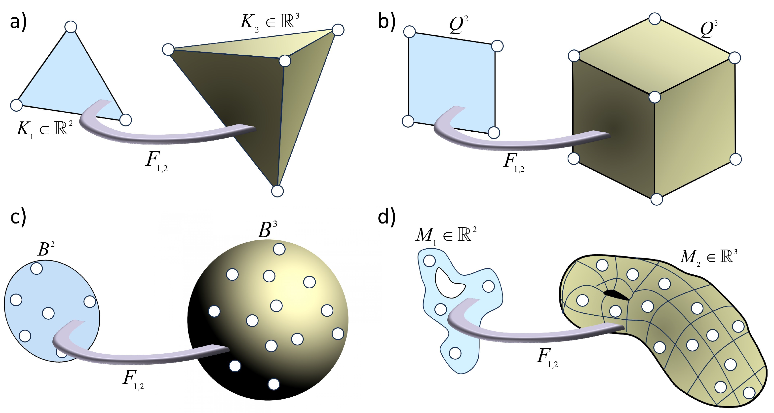 What Is in a Simplicial Complex? A Metaplex-Based Approach to Its ...