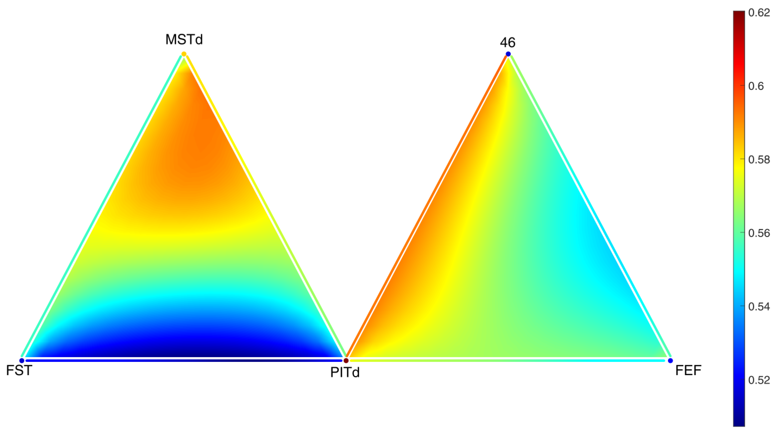 What Is in a Simplicial Complex? A Metaplex-Based Approach to Its ...