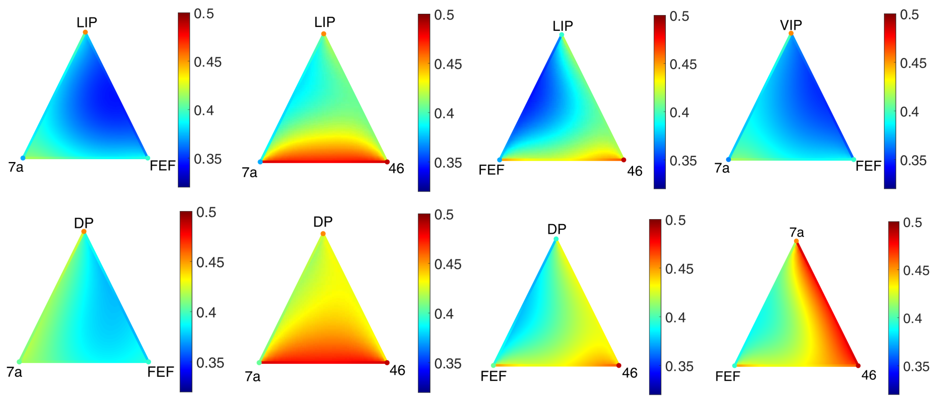 What Is in a Simplicial Complex? A Metaplex-Based Approach to Its ...