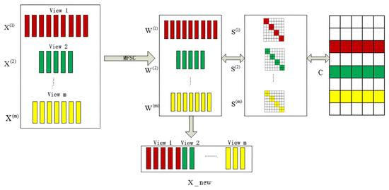 Multiview Data Clustering with Similarity Graph Learning Guided Unsupervised Feature Selection
