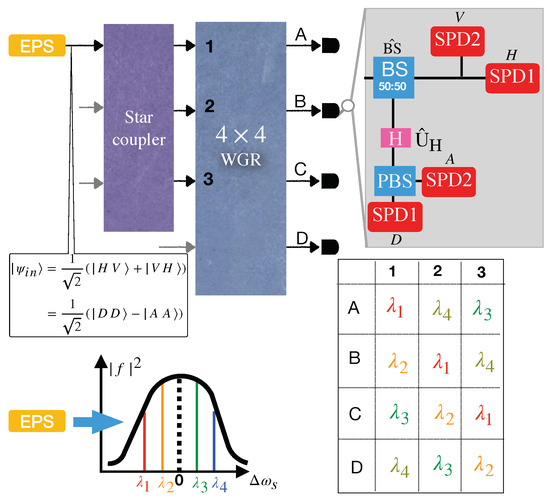 Entangled-Based Quantum Wavelength-Division-Multiplexing and Multiple ...
