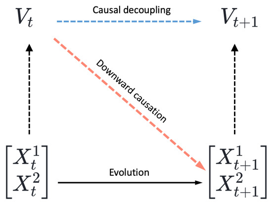 Entropy | Free Full-Text | Emergence and Causality in Complex Systems: A Survey of Causal ...