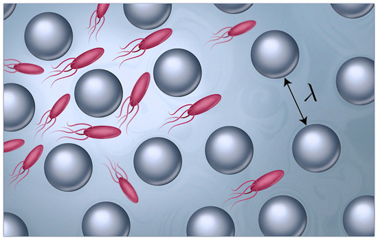Hyper-Ballistic Superdiffusion of Competing Microswimmers