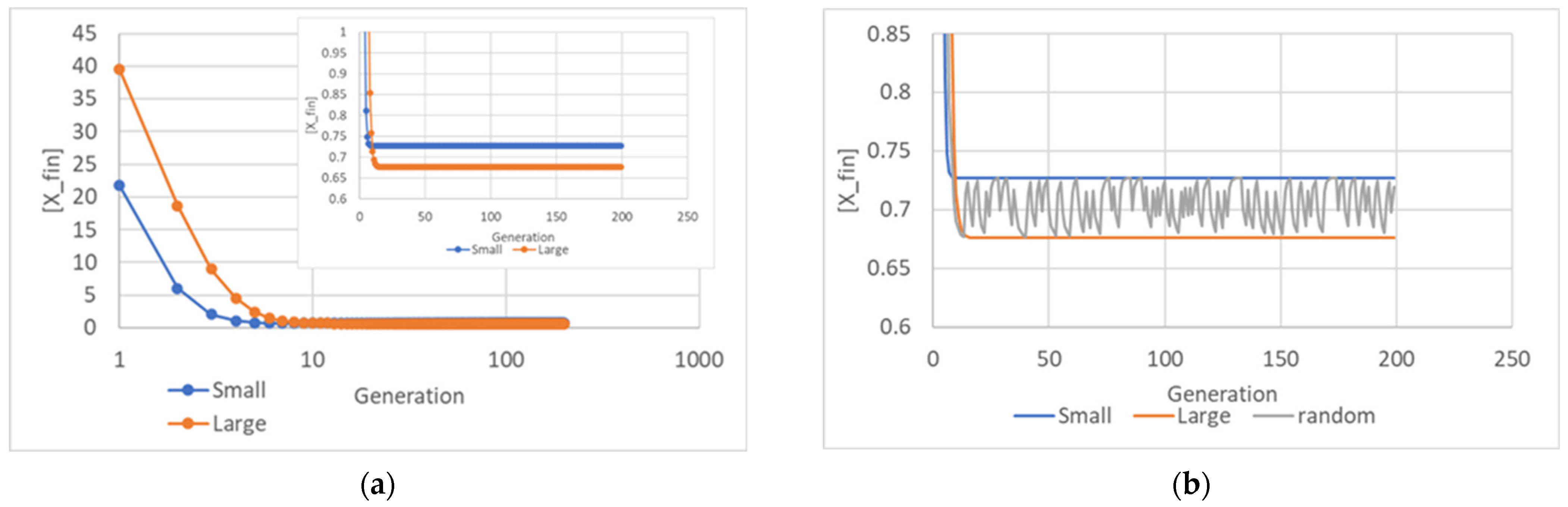 Models of Protocells Undergoing Asymmetrical Division