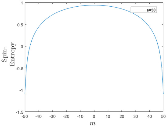 Entropy | Free Full-Text | Phase Space Spin-Entropy