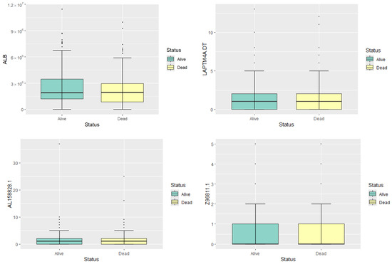 Optimizing Prognostic Predictions in Liver Cancer with Machine Learning ...
