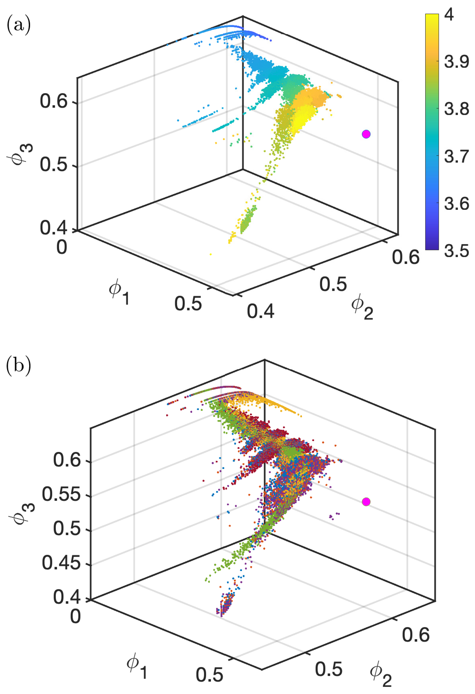 Universality of Dynamical Symmetries in Chaotic Maps