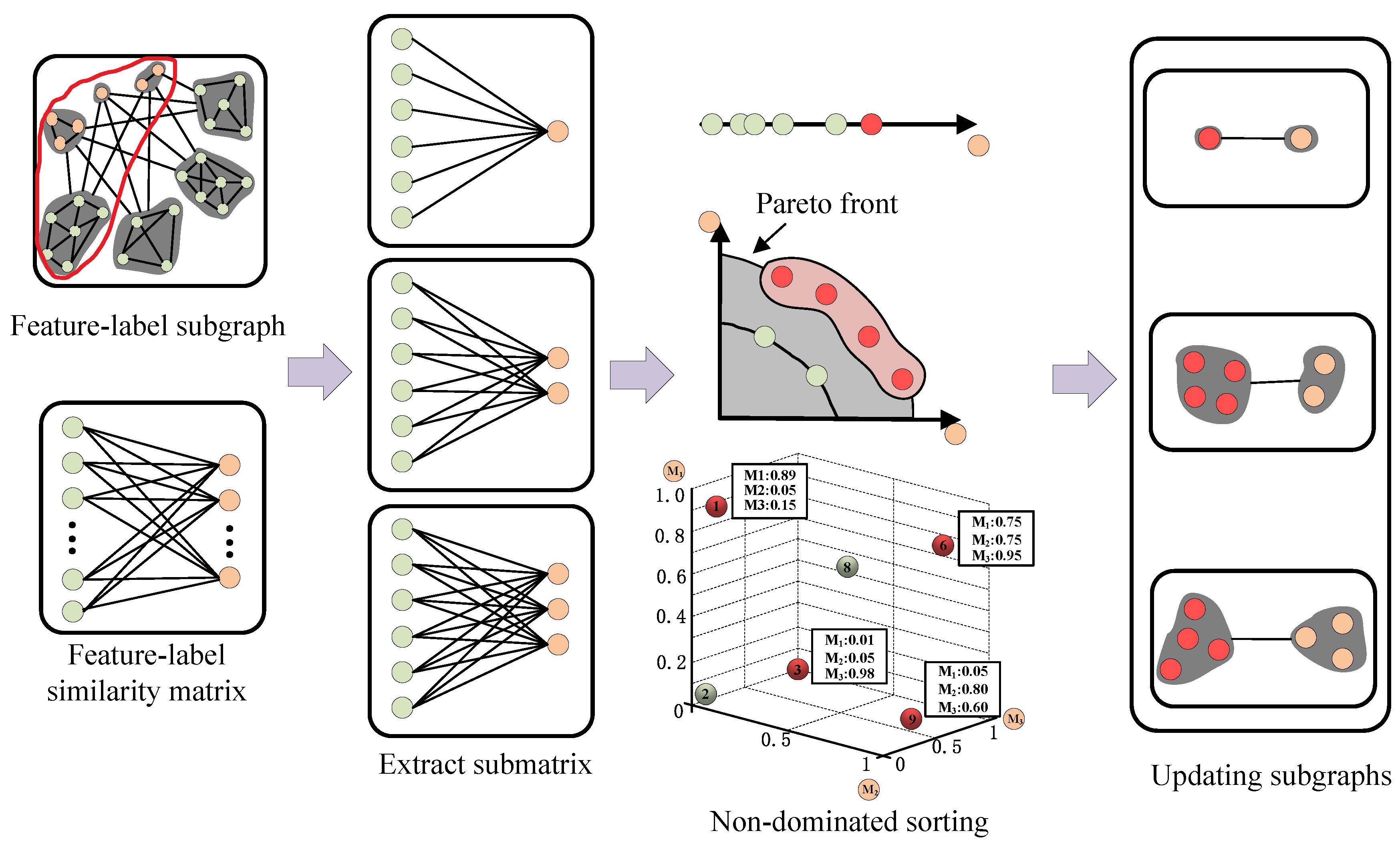 Multi-Label Feature Selection with Feature–Label Subgraph Association and Graph Representation ...