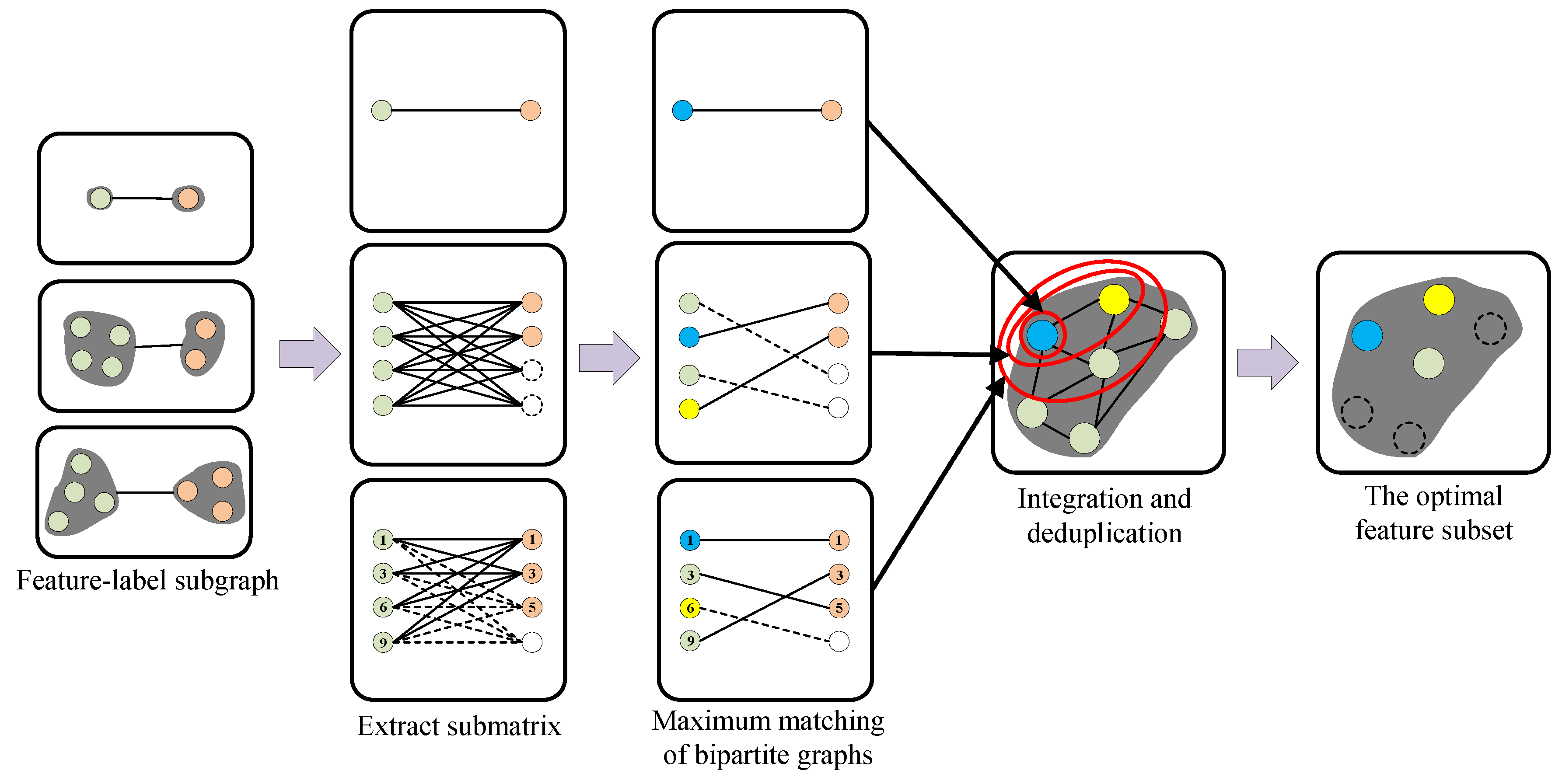 Multi-Label Feature Selection with Feature–Label Subgraph Association and Graph Representation ...