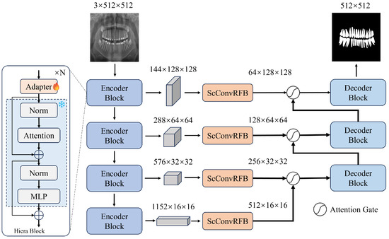 Adapting SAM2 Model from Natural Images for Tooth Segmentation in ...