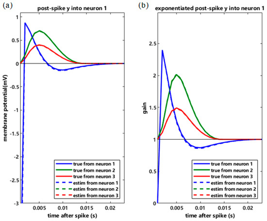 Charactering Neural Spiking Activity Evoked by Acupuncture Through ...