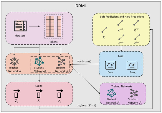 DDML: Multi-Student Knowledge Distillation for Hate Speech