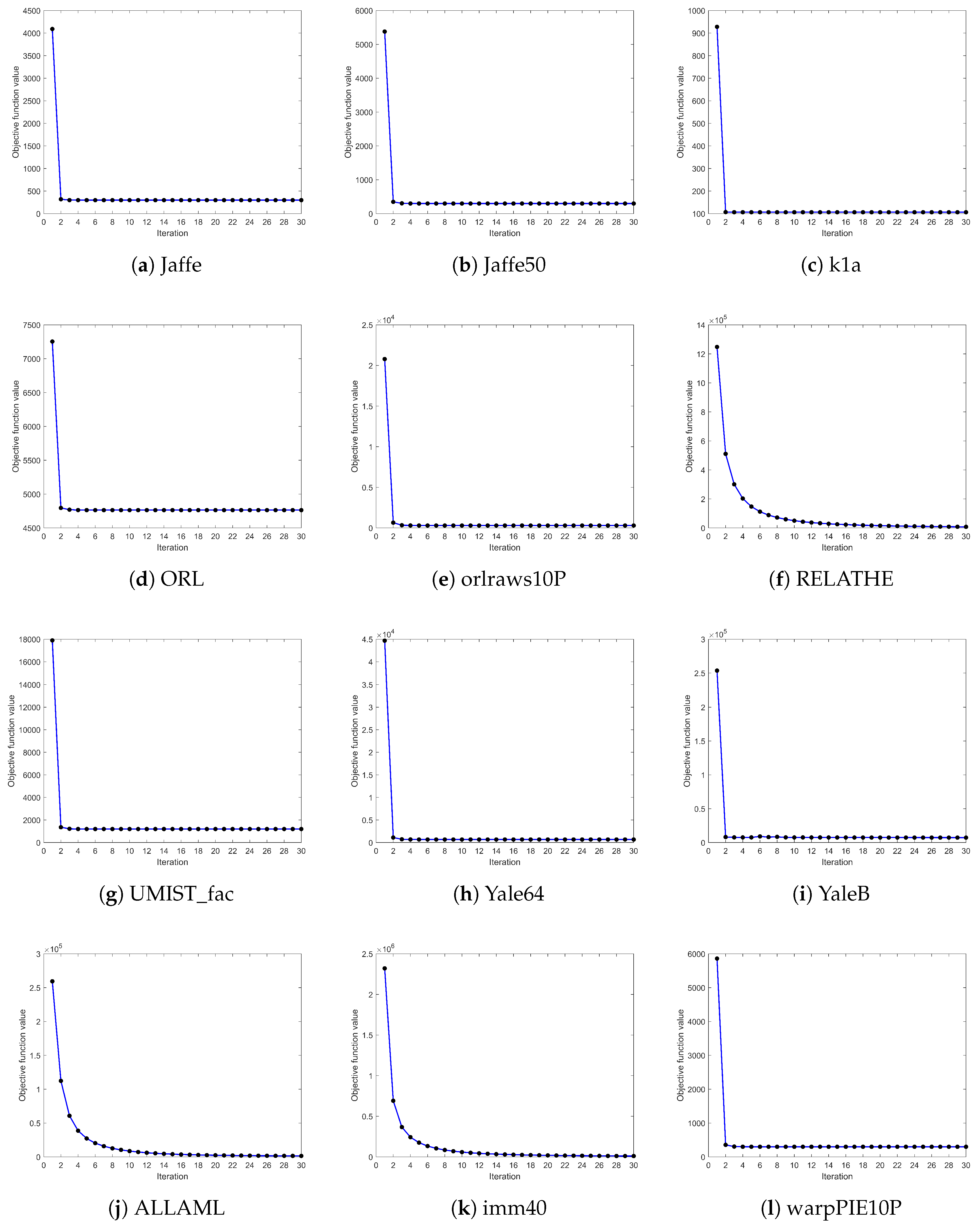 Robust Unsupervised Feature Selection Algorithm Based on Fuzzy Anchor Graph