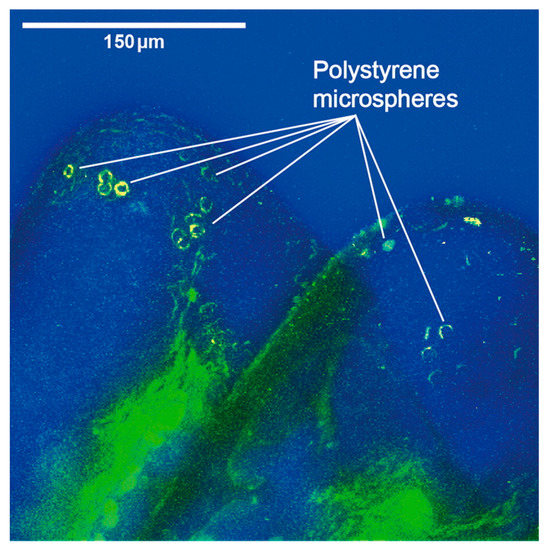Environments | Free Full-Text | Microplastic Contamination in Freshwater Environments: A Review ...