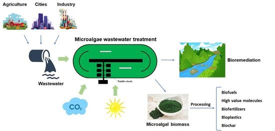 Environments | Free Full-Text | A Review about Microalgae Wastewater Treatment for ...