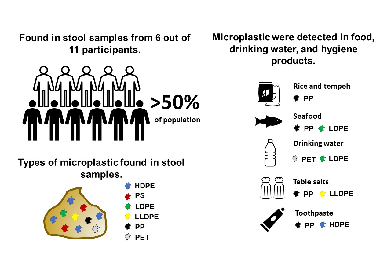 Environments | Free Full-Text | Microplastic Contamination in Human Stools, Foods, and Drinking ...